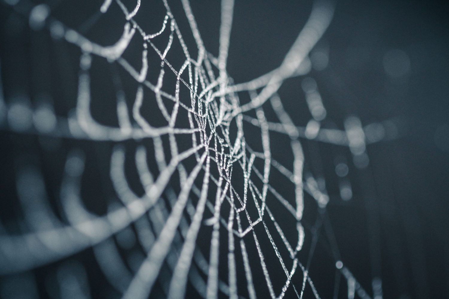Membuat REST API CRUD sederhana dengan Laravel - Blog Rumah Coding Membuat REST API CRUD sederhana dengan Laravel - Blog Rumah Coding